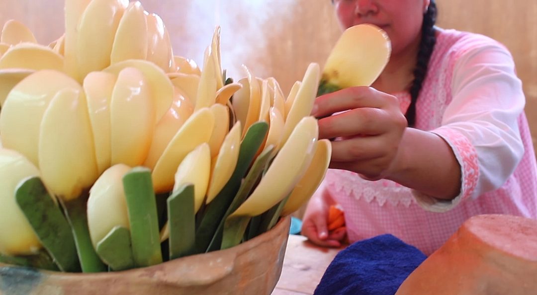 Cucharilla, un cubierto natural de la Mixteca | Leche con tuna