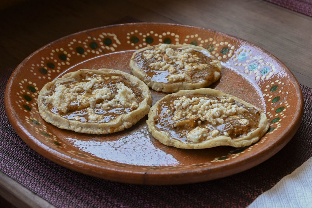 La chicatana, la estrella de la cocina tradicional oaxaqueña - Leche ...