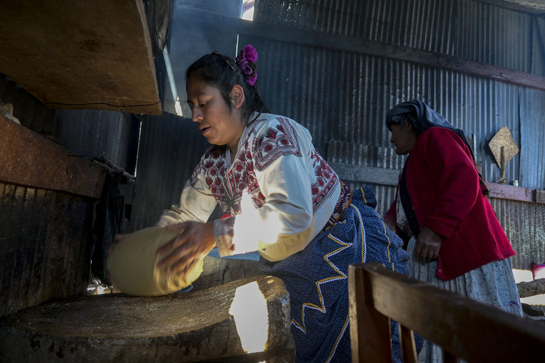 Mä’ätsy o machucado mixe, el platillo sagrado de Tlahuitoltepec - Leche ...