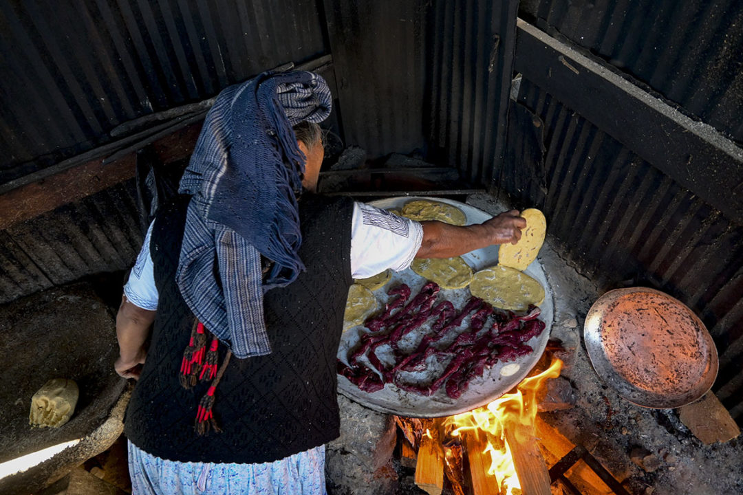 Mä’ätsy o machucado mixe, el platillo sagrado de Tlahuitoltepec - Leche ...