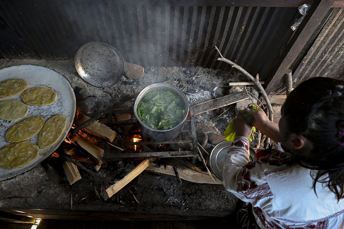 Mä’ätsy o machucado mixe, el platillo sagrado de Tlahuitoltepec - Leche ...