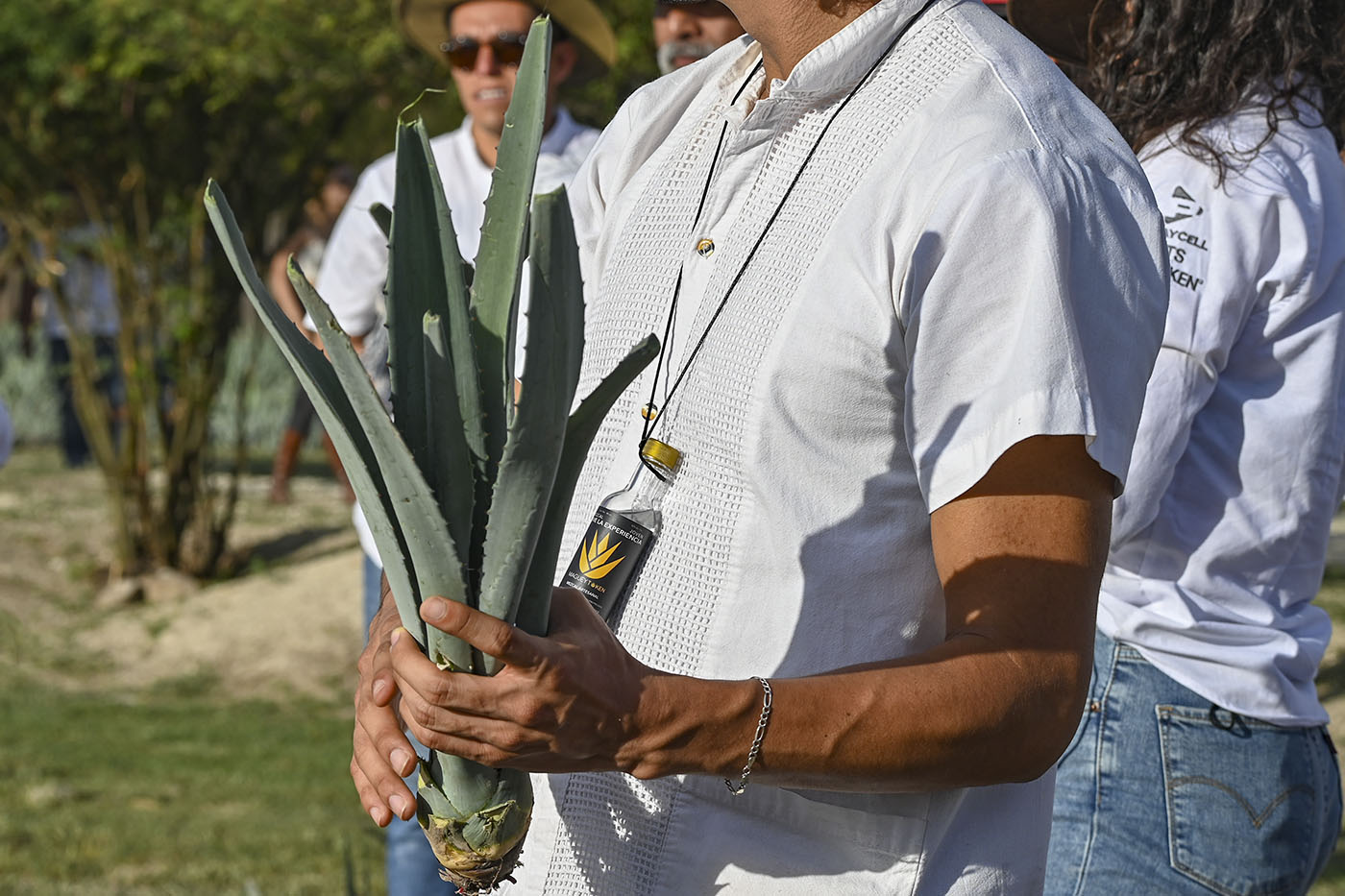 Celebra Magueytoken inversiones en Oaxaca - Leche con tuna